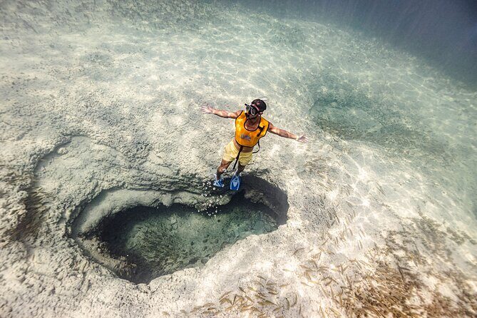 5-in-1 Cancun Snorkeling Tour with Sea Life & Transport Included - Key Points