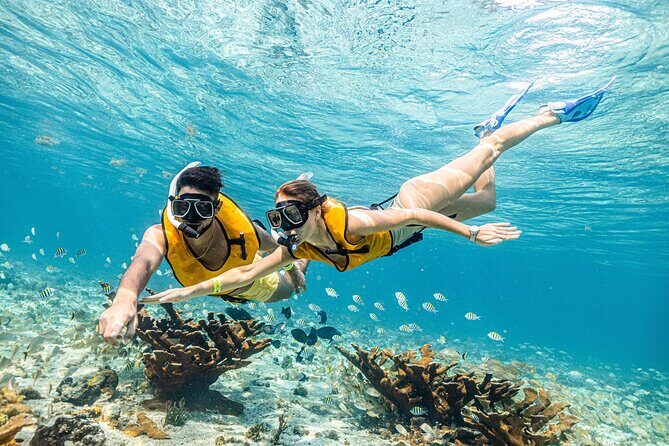 5-in-1 Cancun Snorkeling Tour with Sea Life & Transport Included - The Experience: What Travelers Say