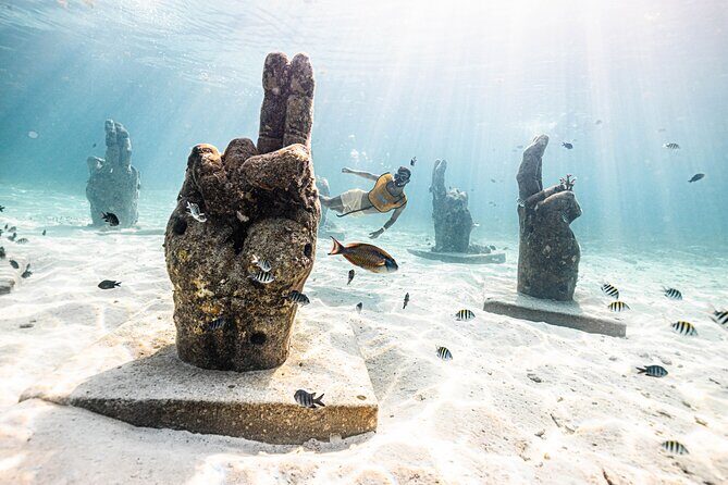 5-in-1 Cancun Snorkeling Tour with Sea Life & Transport Included - Practical Details: Transport, Timing, and Booking