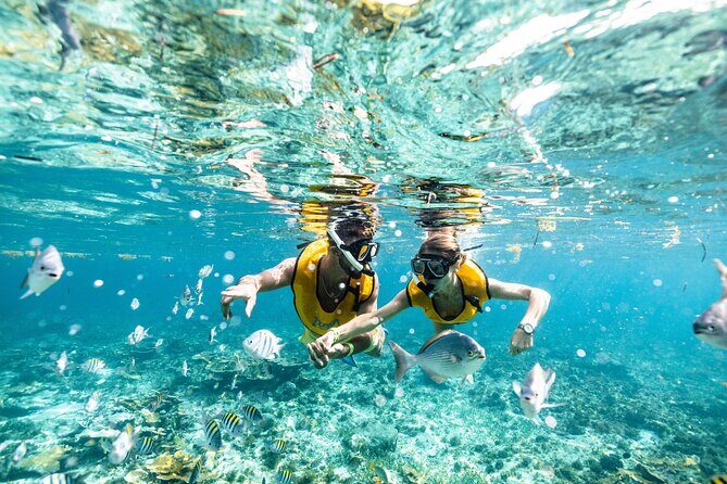 5-in-1 Cancun Snorkeling Tour with Sea Life & Transport Included - The Sum Up: Who Should Consider This Tour?