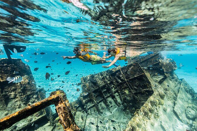 5-in-1 Cancun Snorkeling Tour with Sea Life & Transport Included - FAQ