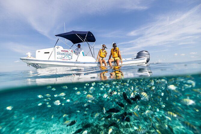 5-in-1 Cancun Snorkeling: Turtles, Reef, Musa, Shipwreck, Cenote - An In-Depth Look at What You Can Expect