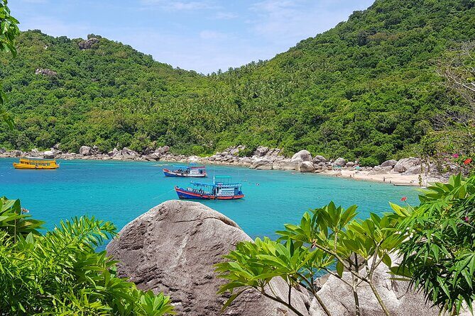 5 Islands Full-Day Tour Around Koh Tao and Koh Nangyuan - The Sum Up