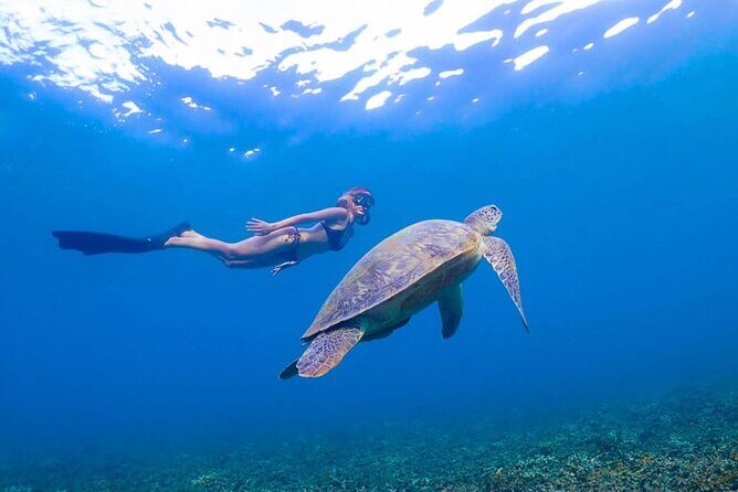 5 Islands Full-Day Tour Around Koh Tao and Koh Nangyuan - Frequently Asked Questions