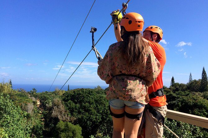 5 Line Jungle Zipline Eco Adventure - Introduction