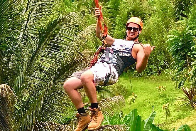 5 Line Jungle Zipline Eco Adventure - The Sum Up