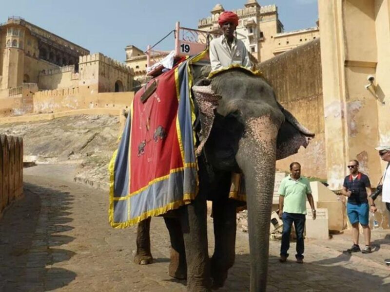 5 Nights 6 Days Golden Triangle India Tour with Ranthambore - What Makes This Tour Stand Out