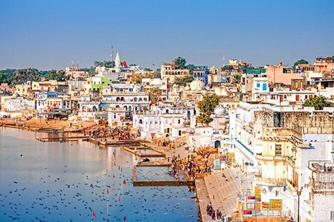 5 Nights 6 Days Private Golden Triangle Tour with Ranthambore - Final Thoughts: Who Is This Tour Best For?