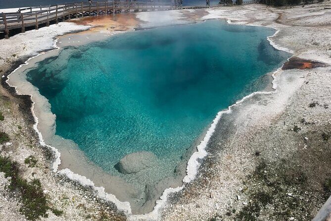 5 Person Full Day PRIVATE Yellowstone Tour- Picnic, Binoculars, Scope, Huge Van - Introduction: Why This Tour Might Be Perfect for You