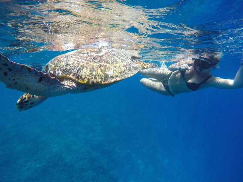 5 Secret Gili Boat Trip & Snorkeling in Southwest Of Lombok - Key Points