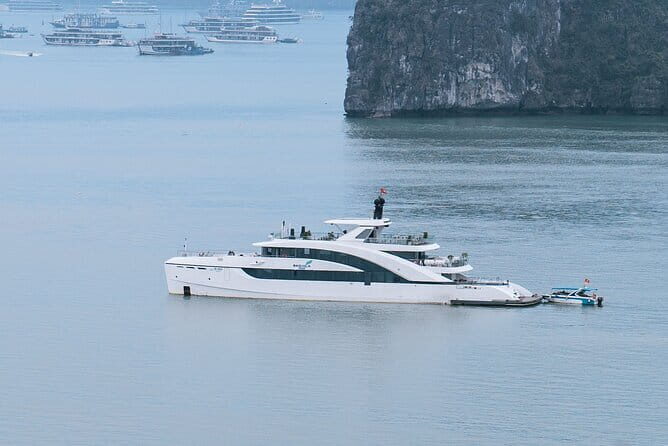 5 Star Pamela Cruise Luxury Day Tour in Halong Bay - What Could Be Better?