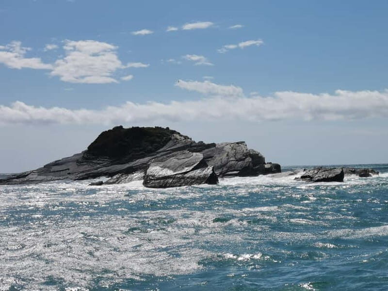 5 TERRE PRIVATE BOAT TOUR WITH SKIPPER - The Natural Park and Islands: A Natural Wonder