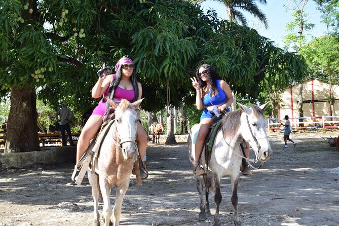 5 tours in 1 (Eco Farm/Horseback/City Tour/Buggy/Zipline) - An In-Depth Look at What This Tour Offers