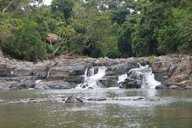 5 Tours of Jungle and Dominican Culture with Lunch - The Sum Up