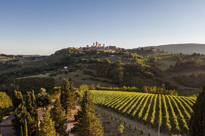 5 Wine Tastings in San Gimignano - What to Expect from the Tour