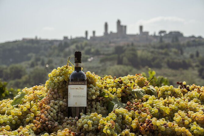 5 Wine Tastings in San Gimignano - Practical Details
