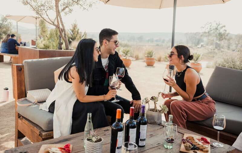 5 wines Tastings with Tour in Valle de Guadalupe Winery - What Makes This Tour Special?
