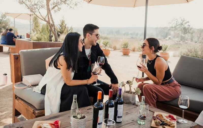 5 wines Tastings with Tour in Valle de Guadalupe Winery - The Facilities: A Closer Look