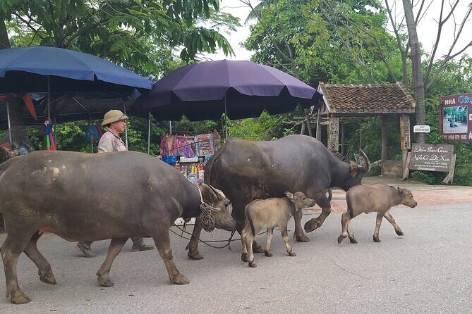 54 Ethnic Groups Cultural Village - Duong Lam Ancient Village - The Sum Up