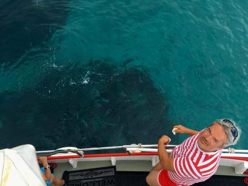 5,5h Plavnik Island: Swim & Snorkel with Capt. Bobo (Public) - Who Will Love This Tour?