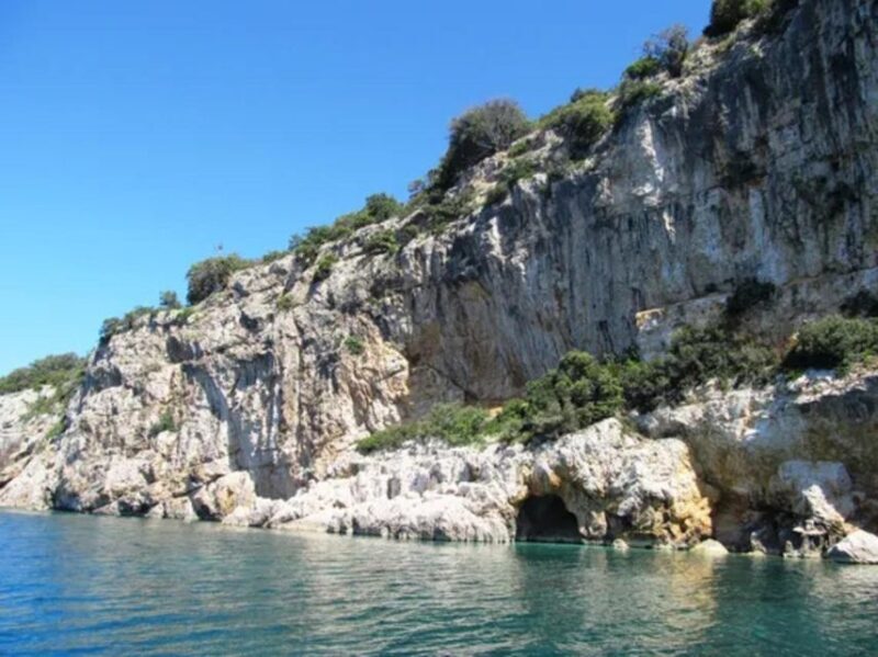 5,5h Plavnik Island: Swim & Snorkel with Capt. Bobo(Private) - A Detailed Look at the Plavnik Island Private Boat Tour