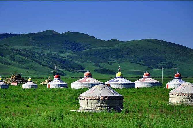 5Day Hulun Buir Private Tour to Grassland and Wetland with Hotel - A Closer Look at the 5-Day Itinerary