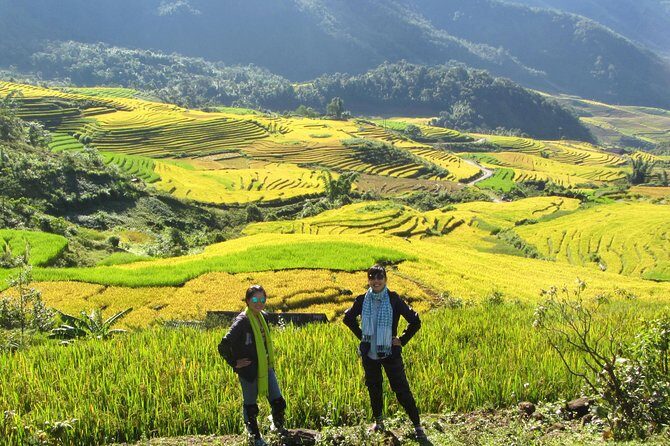 5days 4nights Lan Ha Bay-Sapa-Ninh Binh=>Free Airport Transfer &Street food tour - Authentic Experiences and Highlights