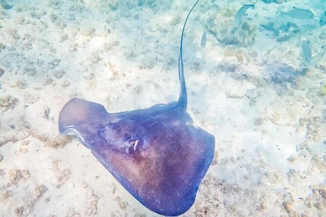 5H 42' Azimut Yacht All-Inclusive from Tulum & Playa del Carmen. - FAQs