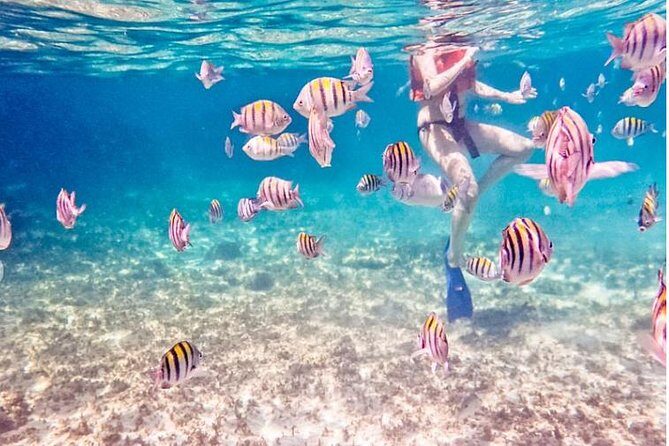 5H Private 44' Catamaran All-Inclusive - Tulum & Playa del Carmen - What’s Special About This Tour?