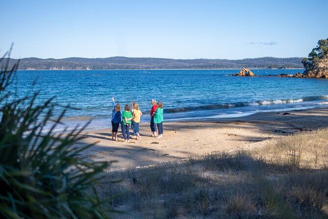 5hr Eden Tour in Nature; Beach, Lookout & National Park - The Experience with Guides and Reviews