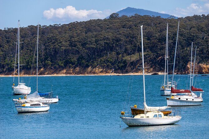 5hr Eden Tour in Nature; Beach, Lookout & National Park - Transportation and Timing