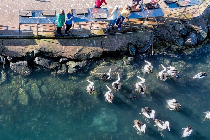 5hr Eden Tour in Nature; Beach, Lookout & National Park - Who Is This Tour For?