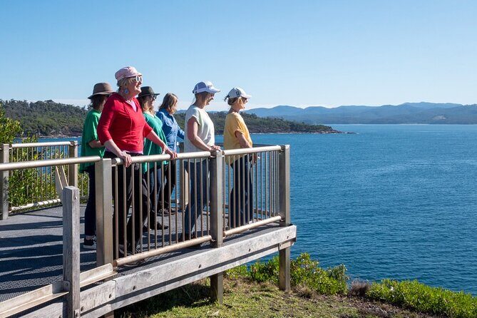 5hr Eden Tour in Nature; Beach, Lookout & National Park - The Sum Up