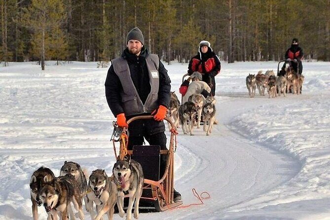 5KM Husky Sled Ride from Levi - Who Should Consider This Tour?