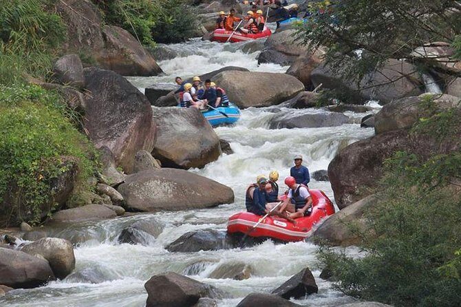 5km White Water Rafting and Jungle Tour From Phuket - The Experience: What Travelers Can Expect