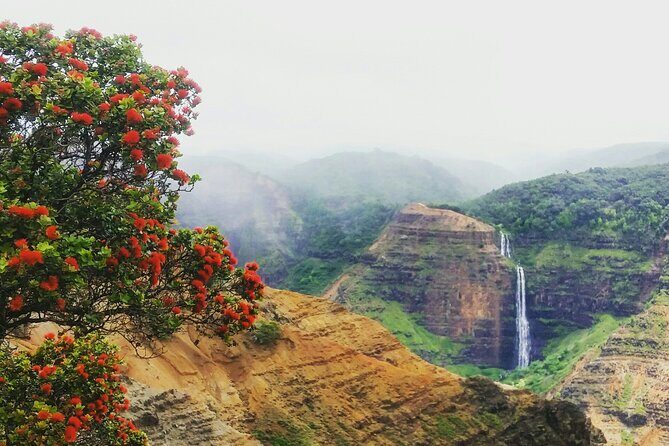 6-7 Hours Private Kauai's Hidden Gems Experience with Snacks - Price and Value Assessment