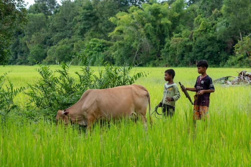 6-Day Authentic Cambodia Tour from Siem Reap to Battambang - Key Points