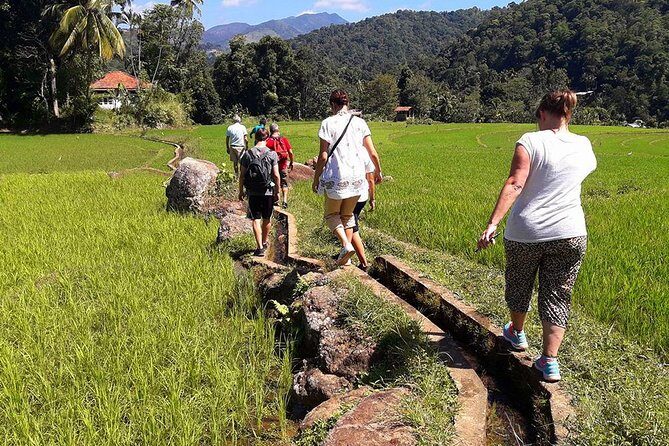 6-Day Authentic Experiences in Sri Lanka - Introduction: A Genuine Sri Lankan Adventure with a Small-Group Feel