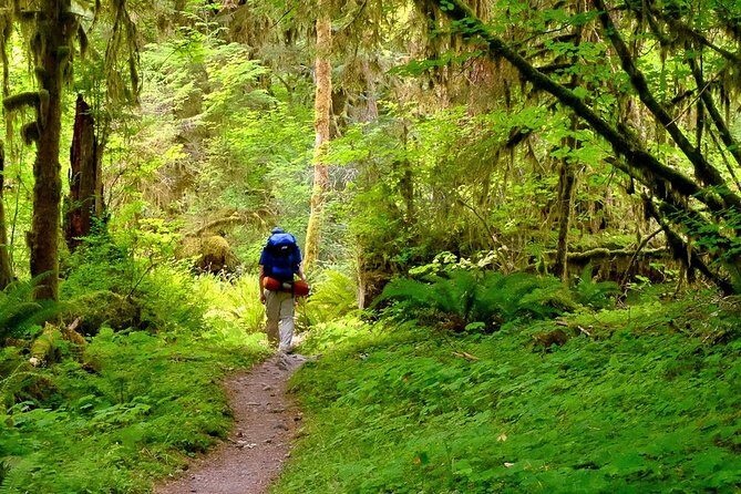 6-Day Backpacking Summer Camp Adventure in Olympic National Park - The Sum Up