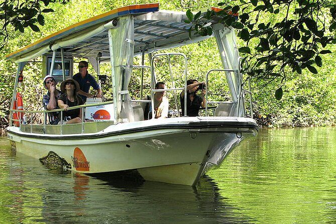 6-Day Best of Cairns Including the Great Barrier Reef, Kuranda and the Daintree Rainforest - Exploring Cairns and Its Environs: What This Tour Delivers