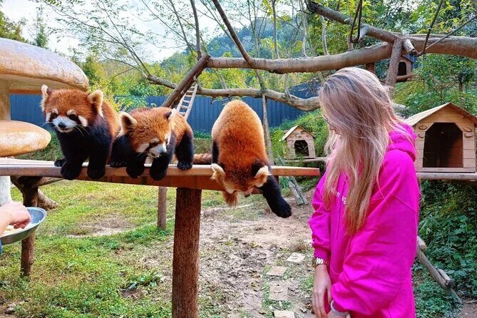 6-Day Chengdu Free Tour with Accommodation and Airport Transfer - Analyzing the Value and Practicality