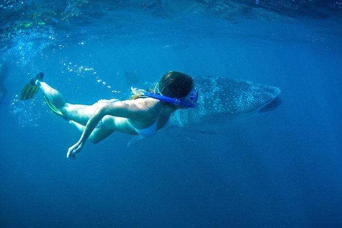 6-Day Coral Coaster from Perth to Exmouth One-Way via Monkey Mia Ningaloo Reef - Frequently Asked Questions