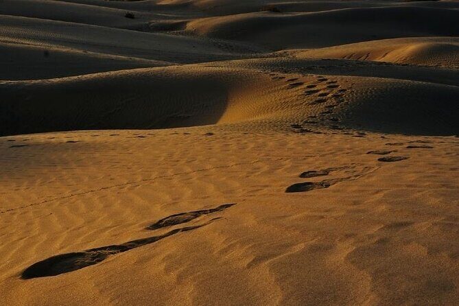 6-Day Golden Triangle with Fatehpur Sikri and Abhaneri Stepwell - Final Thoughts