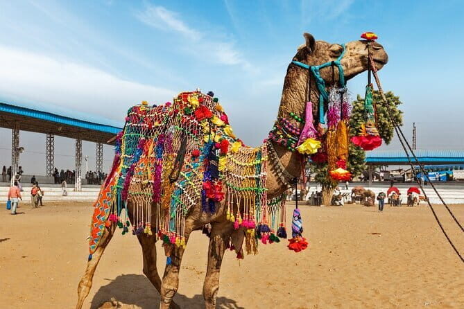 6 Day Golden Triangle With Pushkar-Delhi Agra Jaipur Pushkar Tour - A Journey Through India’s Most Famous Cities