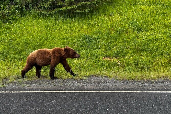 6 Day Grand Alaska Highlights Tour - Authentic Experiences & Authenticity