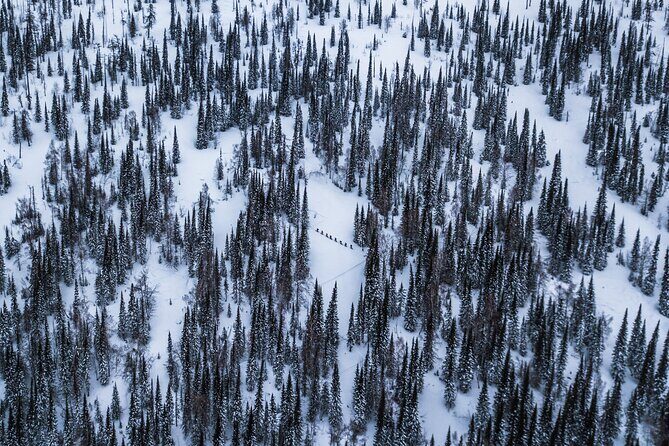 6-Day Kazakhstan Ridder Camp Ski Private Guided Tour and Adventure - Key Points