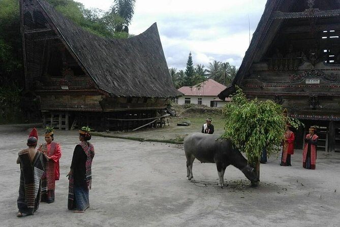 6 Day North Sumatra Highlights - Jungles Orangutans Lakes and Volcanoes - Introduction