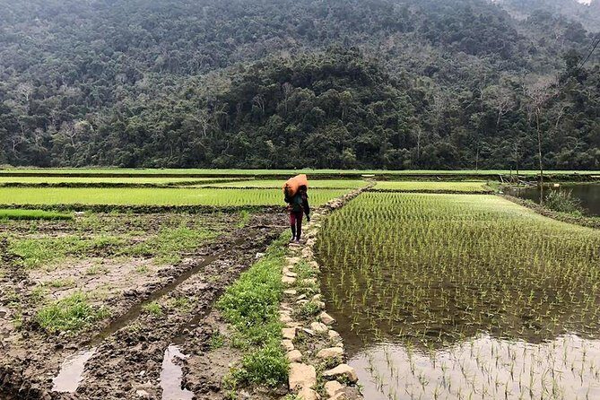 6-Day Off The Beaten Track Trek To Ba Be Lake And Ban Gioc Waterfall - Day 2: Trekking Through the Village Landscapes