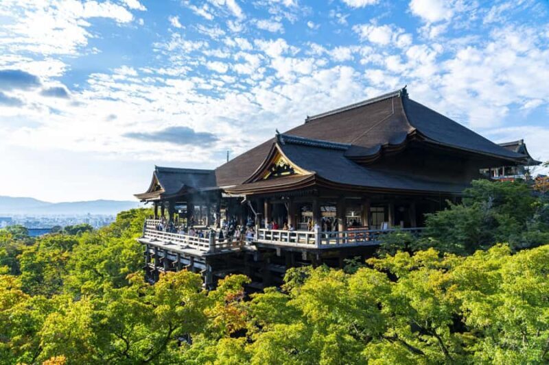 6-Day Osaka & Surroundings Tour - Authenticity and Experience