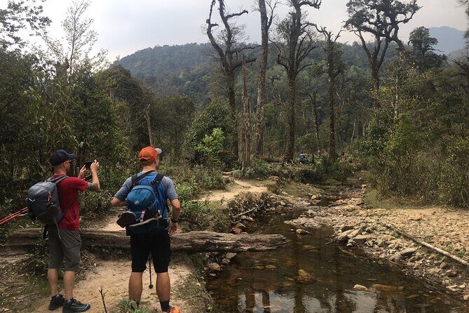 6-Day Private Cruising and Trekking at Fansipan and Ha Long Bay - An Overview of the Tour: Authentic Adventure with Comfort